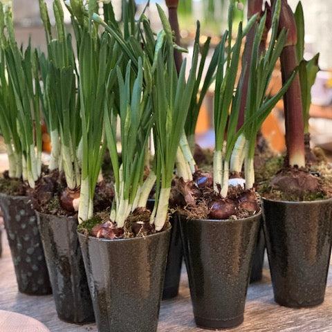 Milton Market + Sarah Worden Natural Design + Dumais Made paper whites